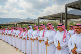 What Is Najm In Saudi Arabia? - Expatriate Saudi